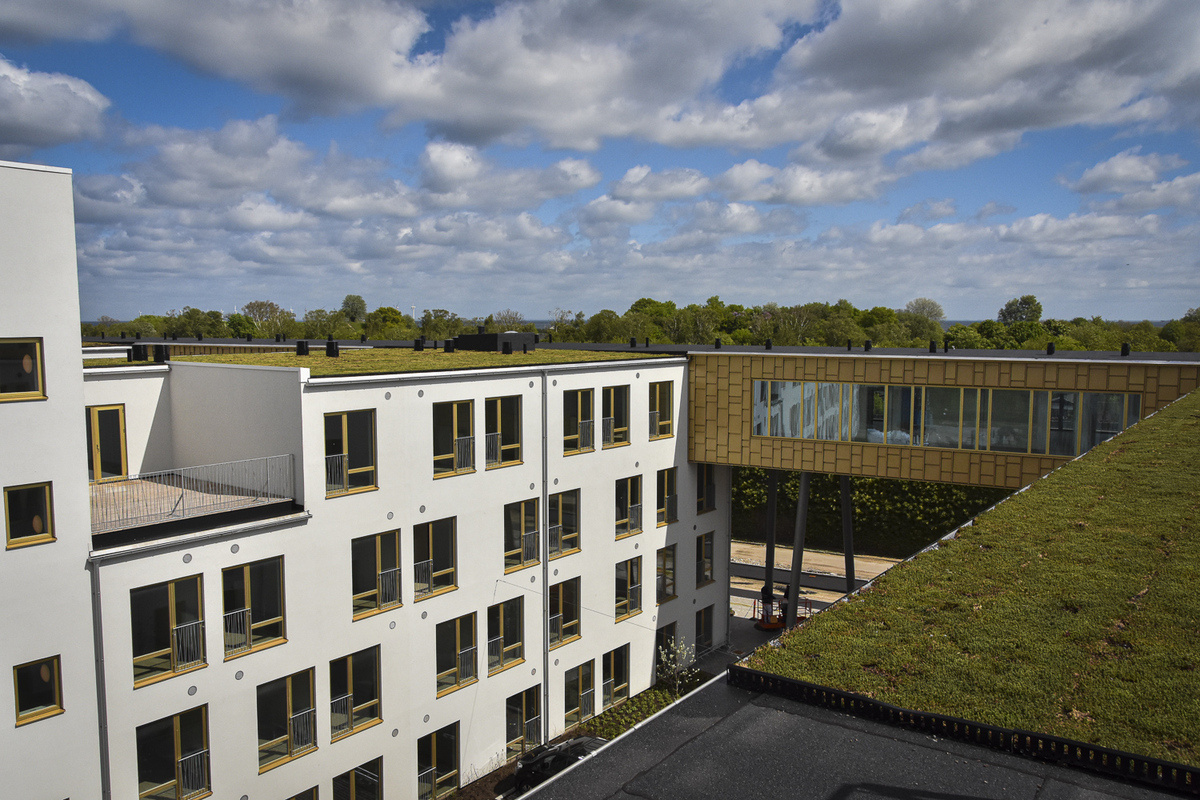 Små boliger med "Guldbarre-bro" og hotel-badeværelser er klar ...