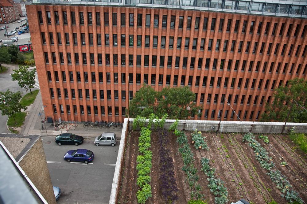 Farmen på taget | Magasinet KBH